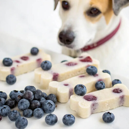 Homemade Frozen Dog Treats With Yogurt – dogsdishdelights.com